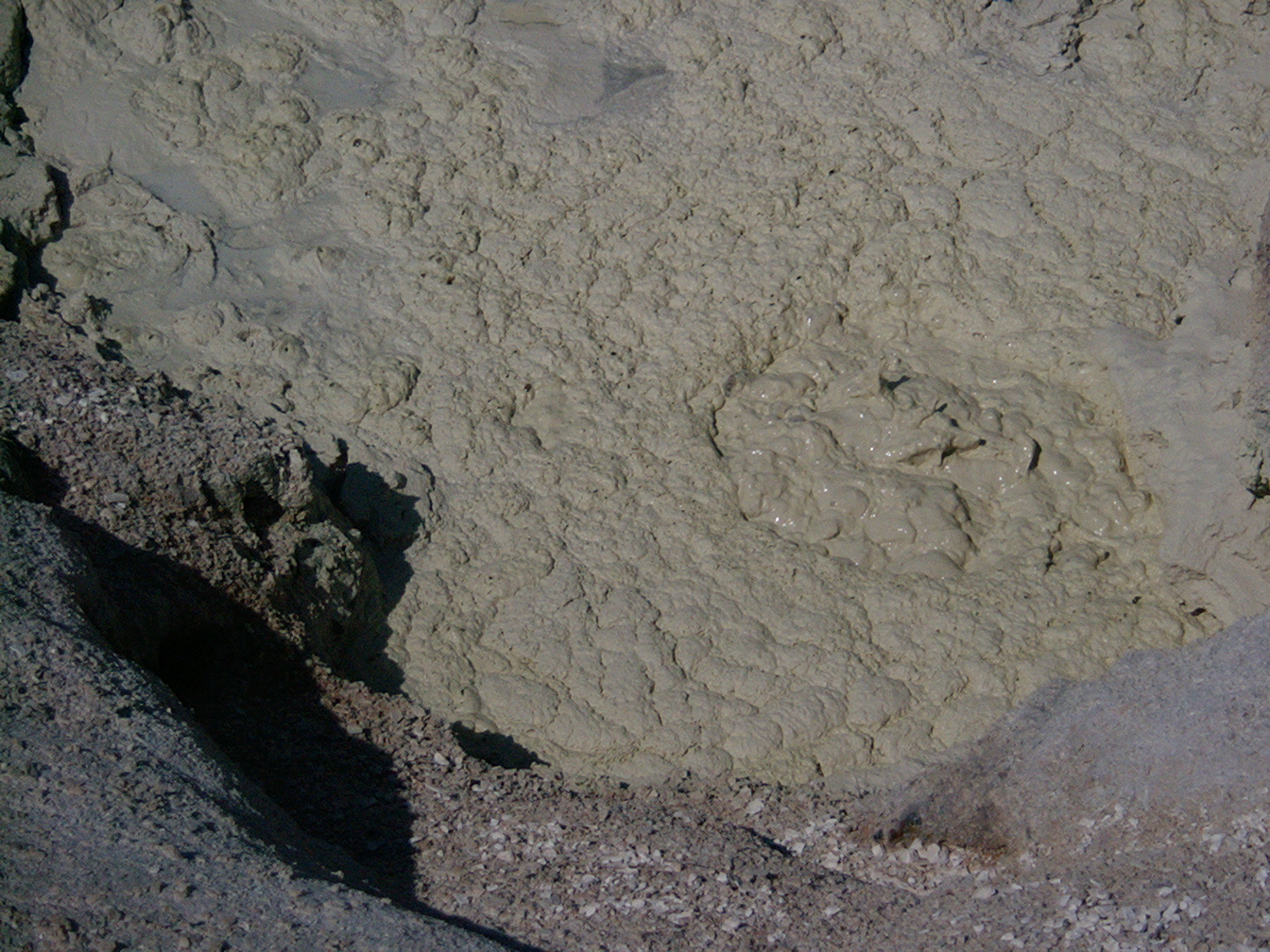 Foam Spring Details - Yellowstone Research Coordination Network