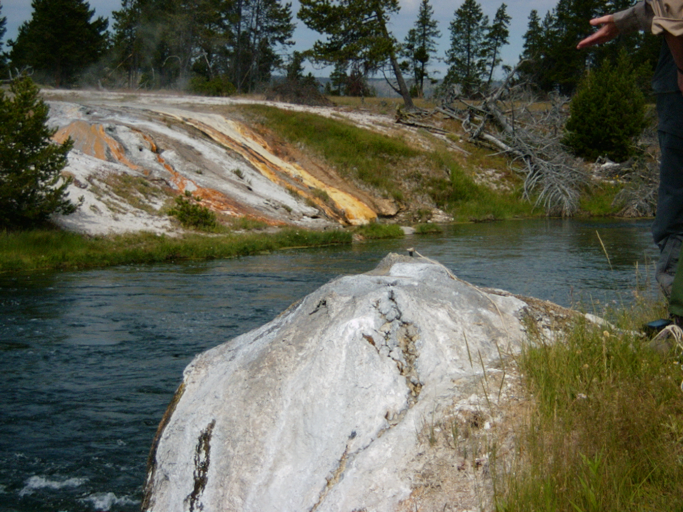 Cone Spring Details - Yellowstone Research Coordination Network