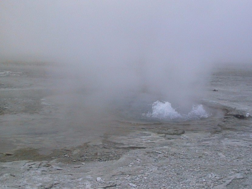 Three Vent Geyser Details - Yellowstone Research Coordination Network