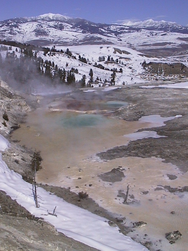 New Blue Spring Details - Yellowstone Research Coordination Network