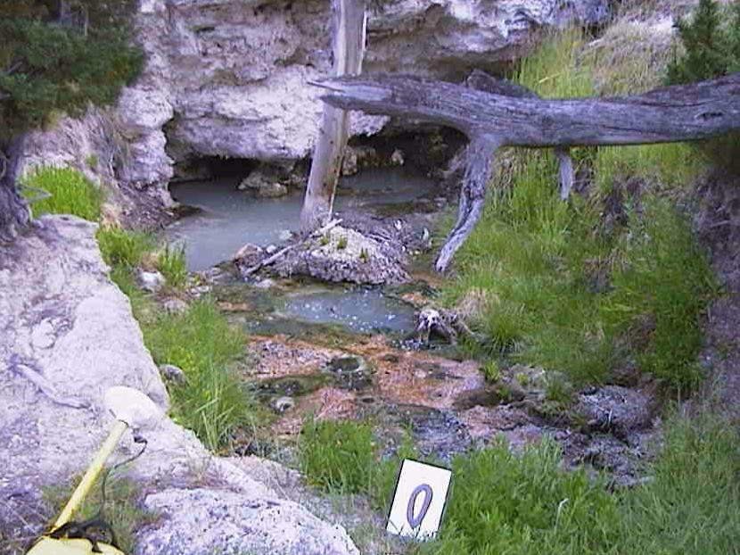 Poison Spring (Gaseous Hot Spring) Details - Yellowstone Research ...