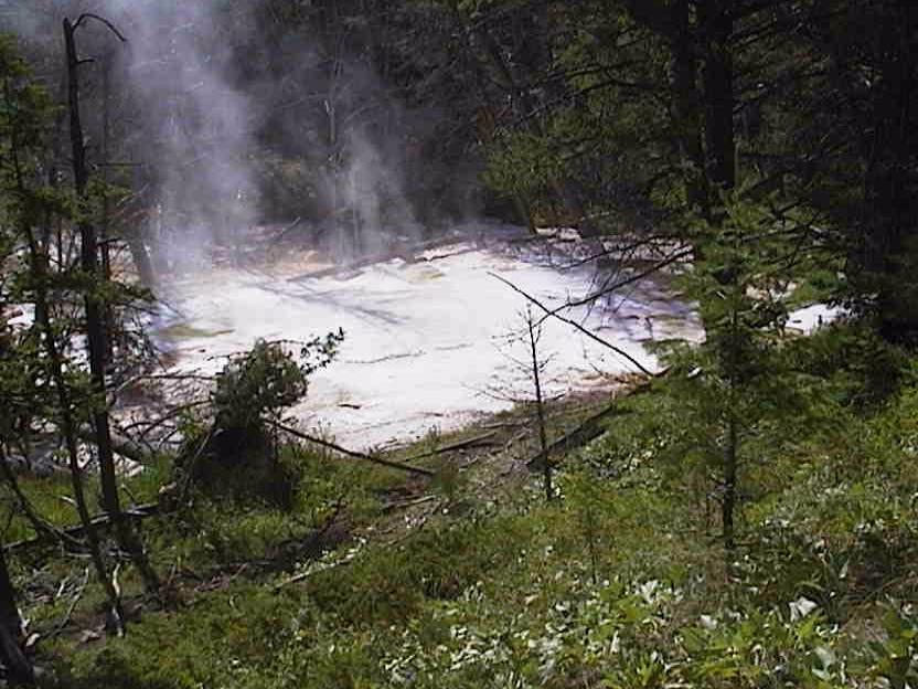 Prospect Spring(s) Details - Yellowstone Research Coordination Network