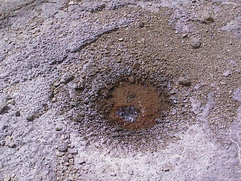 Yellowstone Image View - Yellowstone Research Coordination Network