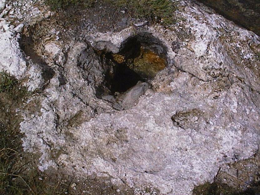 River Spouter Geyser Details - Yellowstone Research Coordination Network