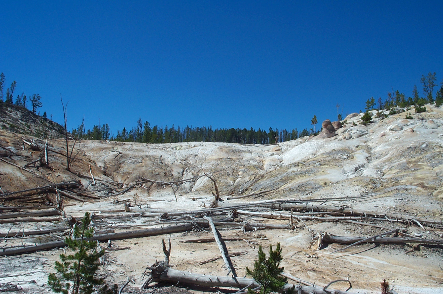 Yellowstone Image View - Yellowstone Research Coordination Network