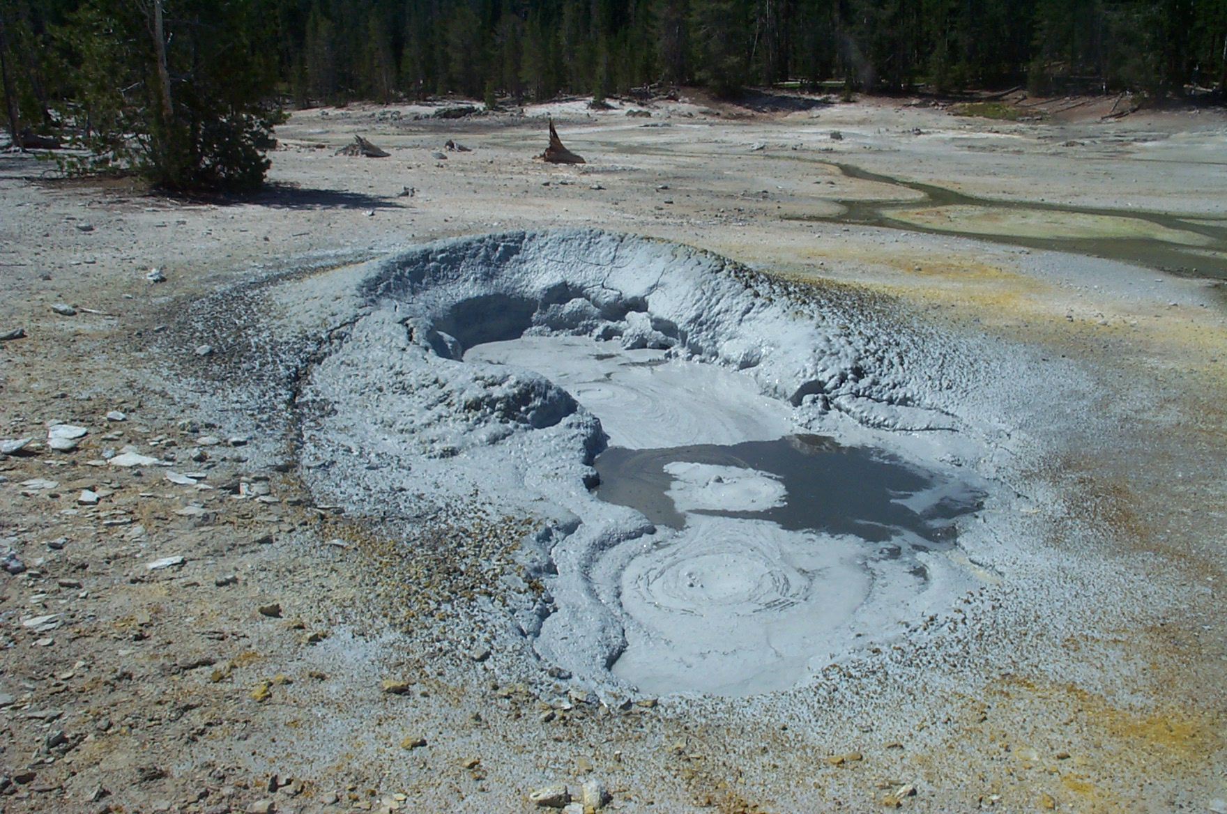 Yellowstone Image View - Yellowstone Research Coordination Network