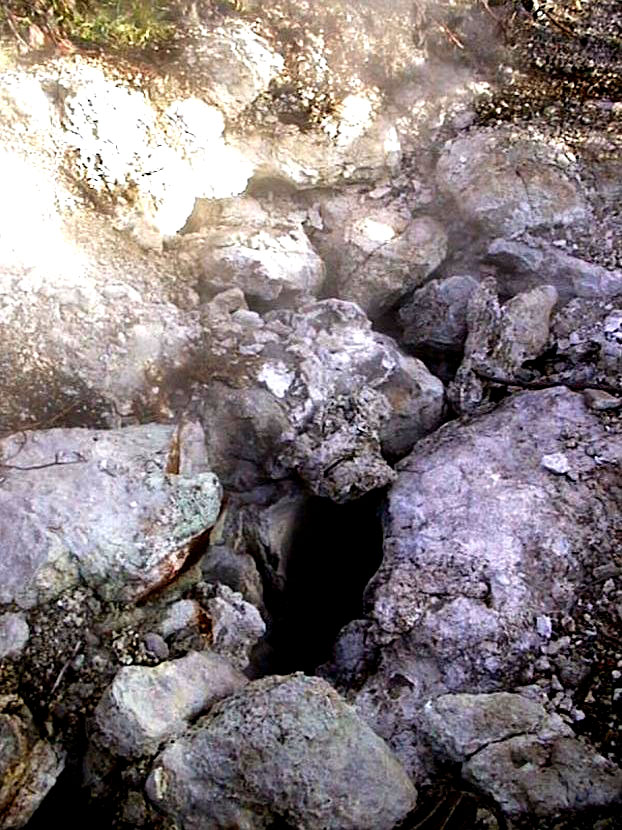 Yellowstone Image View - Yellowstone Research Coordination Network