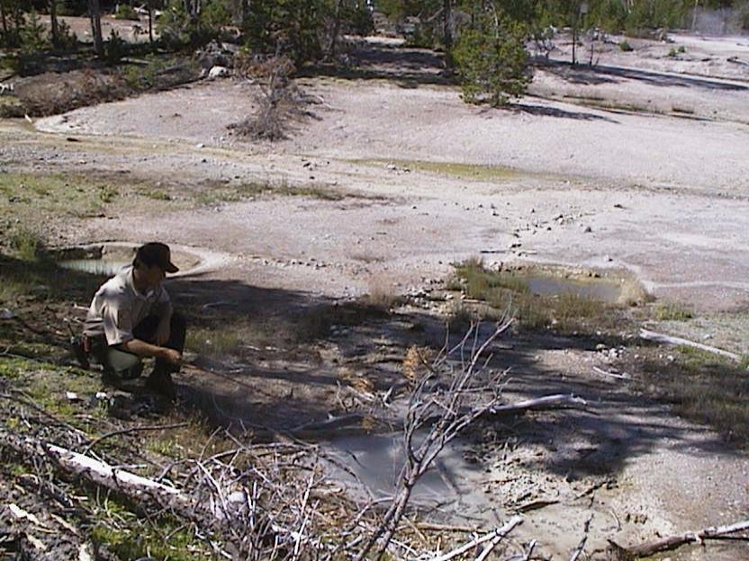 NBBNN023 Details - Yellowstone Research Coordination Network