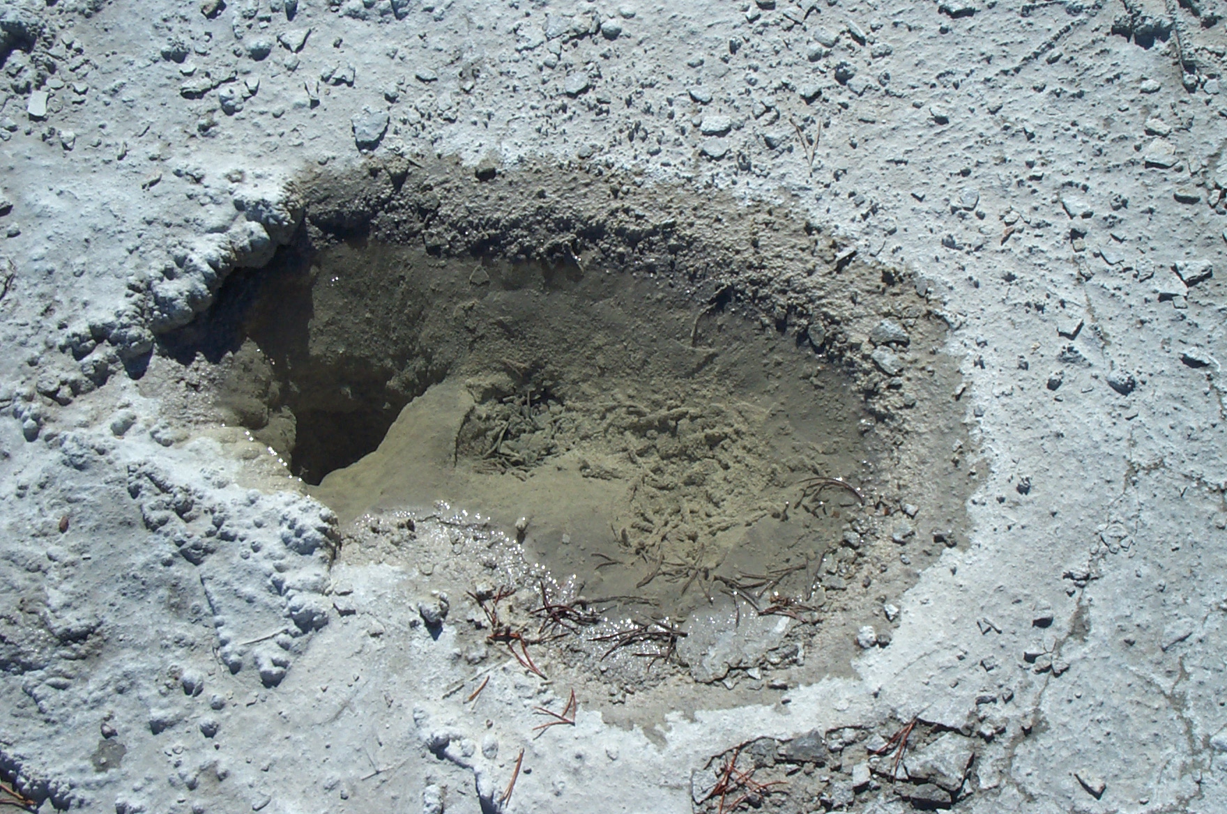 NHSPNN103 Details - Yellowstone Research Coordination Network