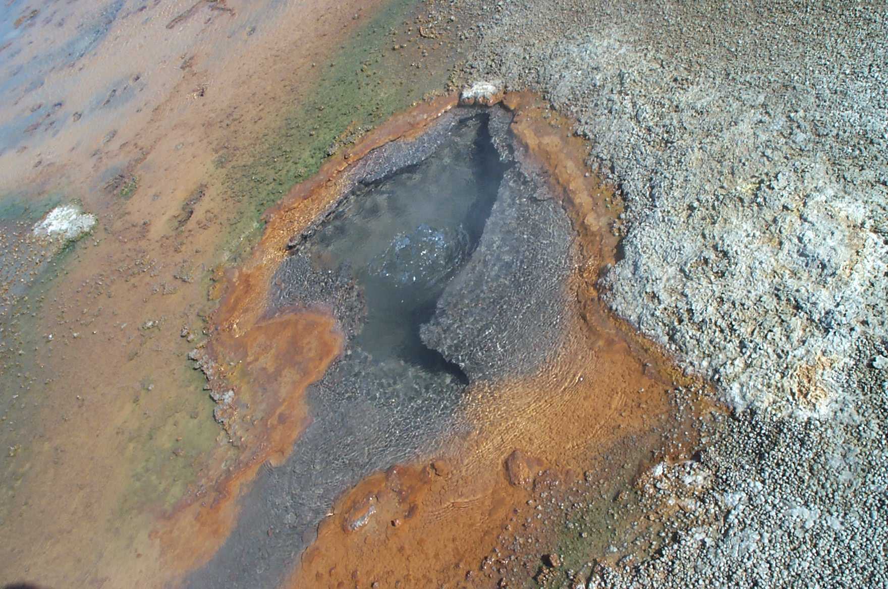 NHSPNN113 Details - Yellowstone Research Coordination Network