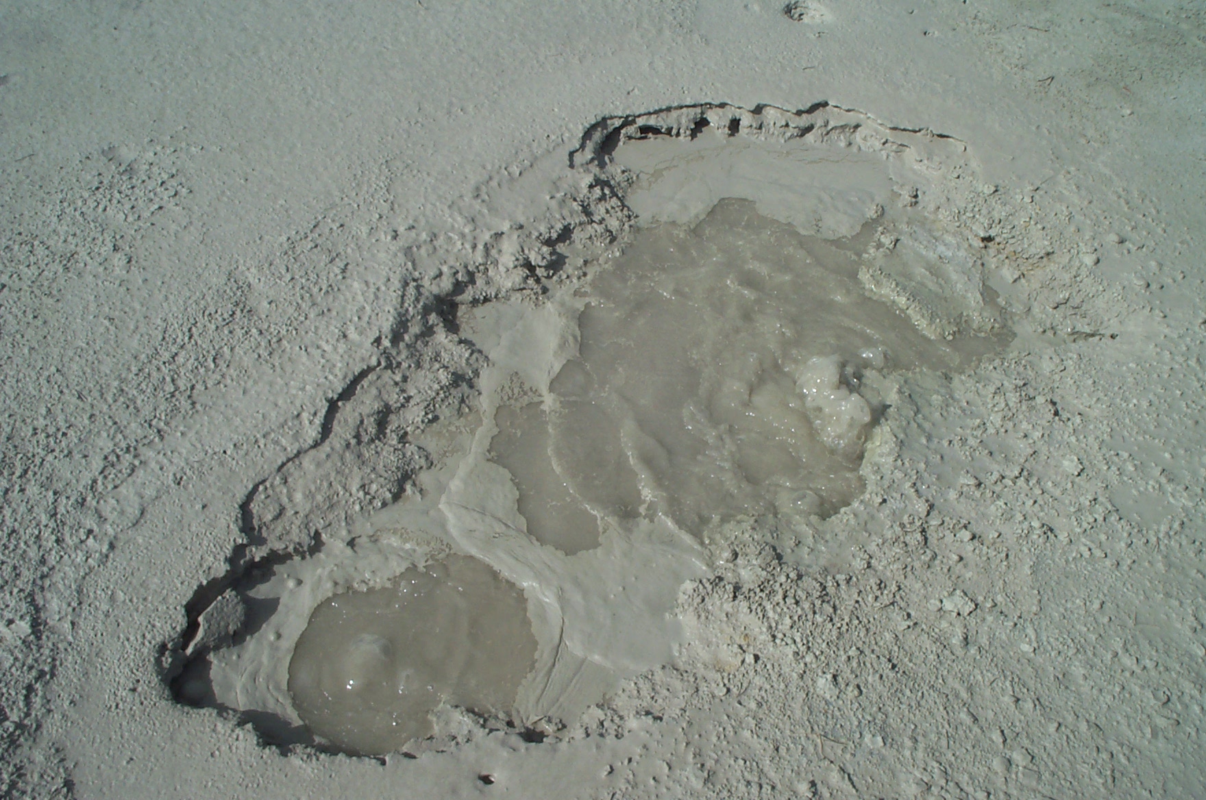 NHSPNN132 Details - Yellowstone Research Coordination Network