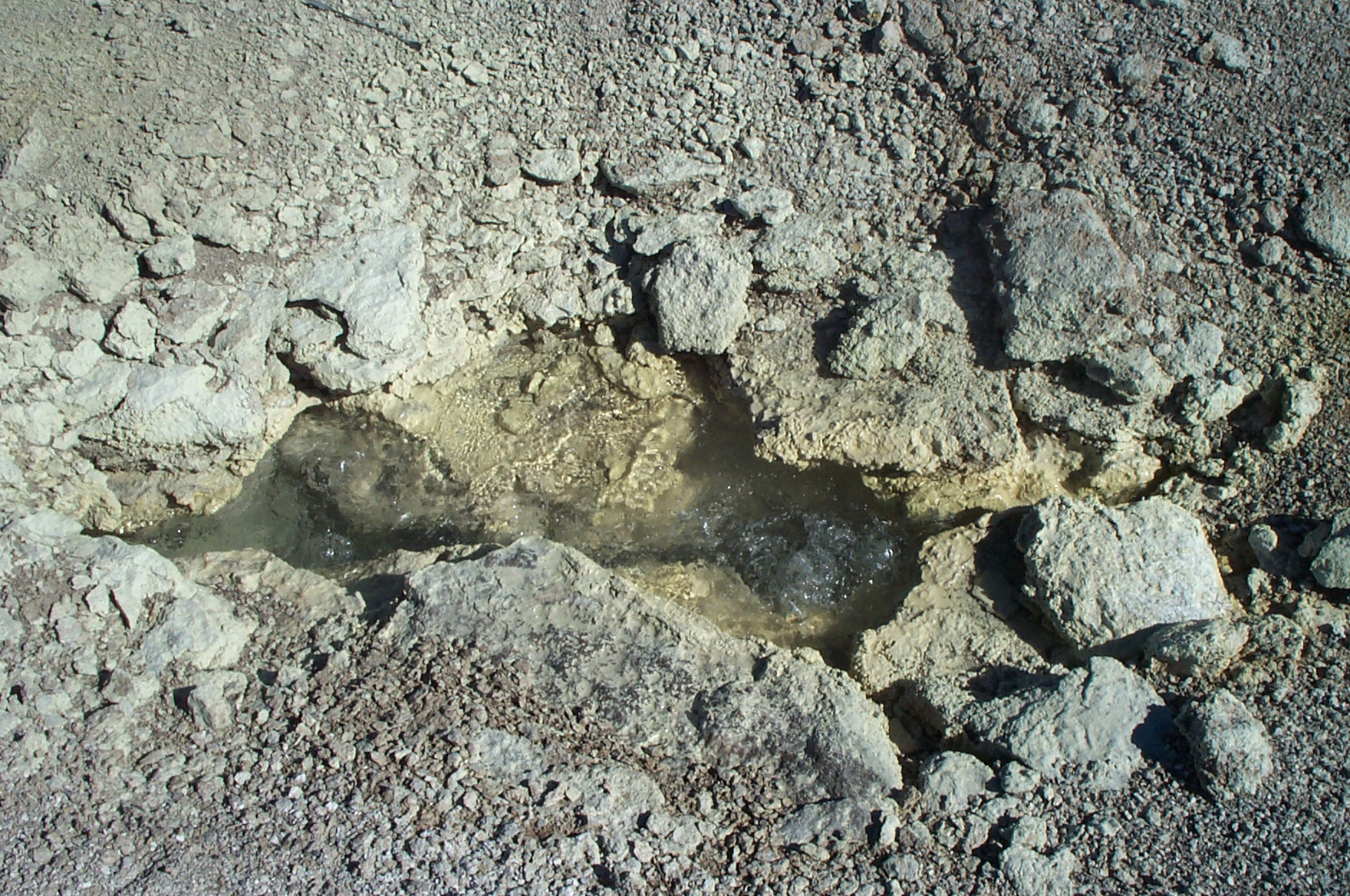 NHSPNN177 Details - Yellowstone Research Coordination Network