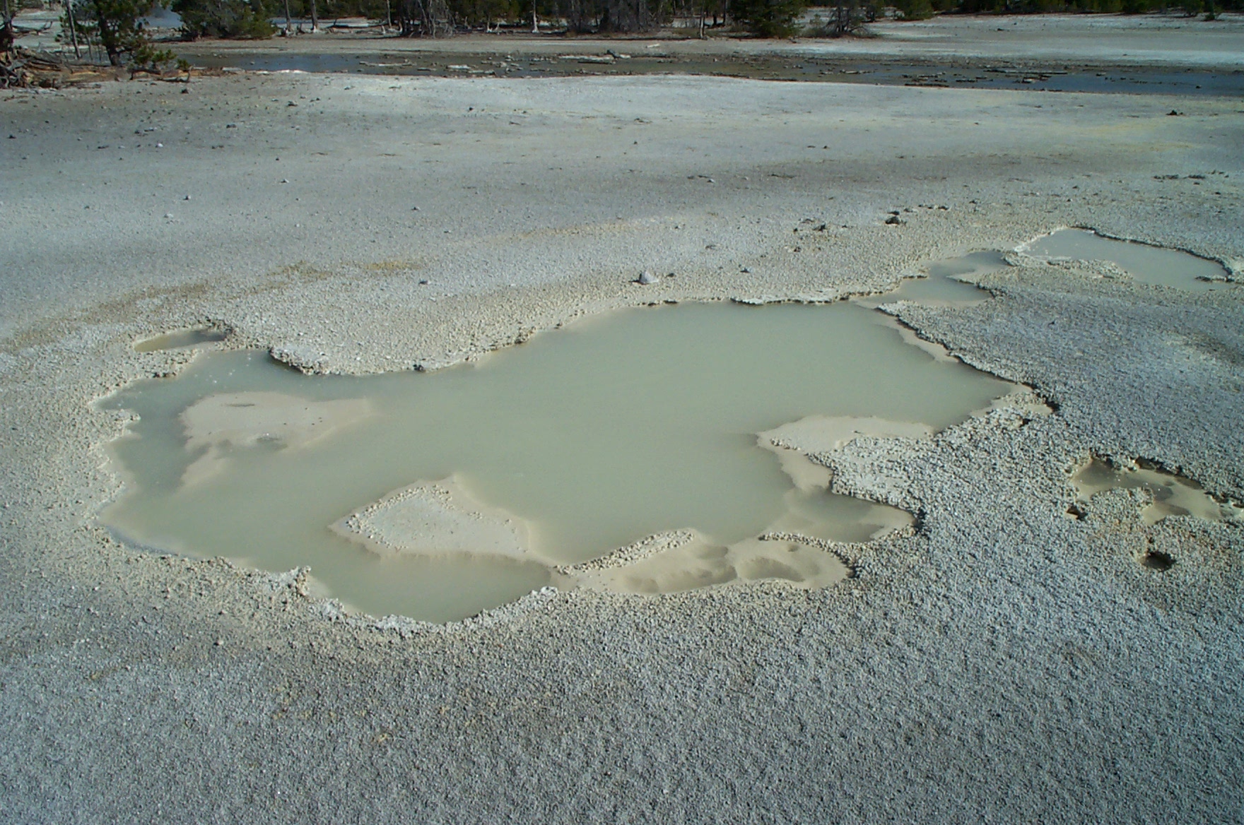 NHSPNN023 Details - Yellowstone Research Coordination Network