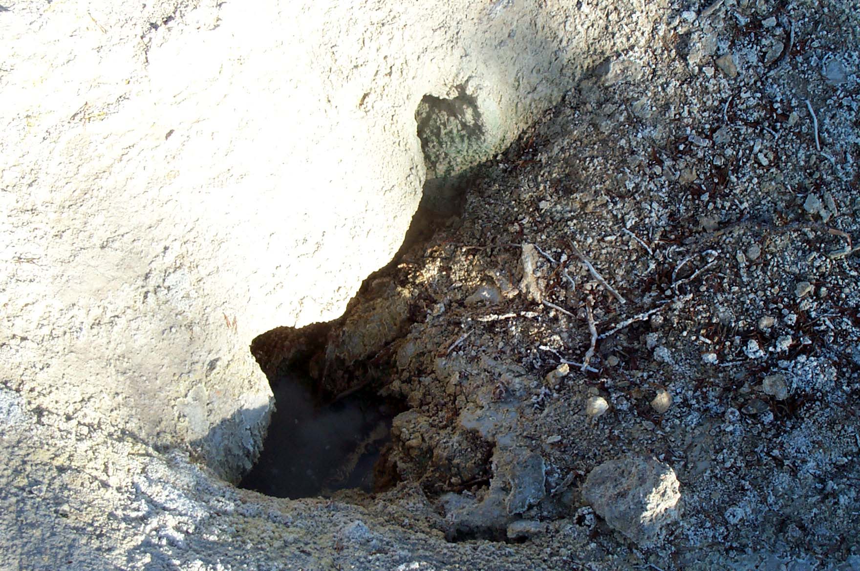 NHSPNN247 Details - Yellowstone Research Coordination Network