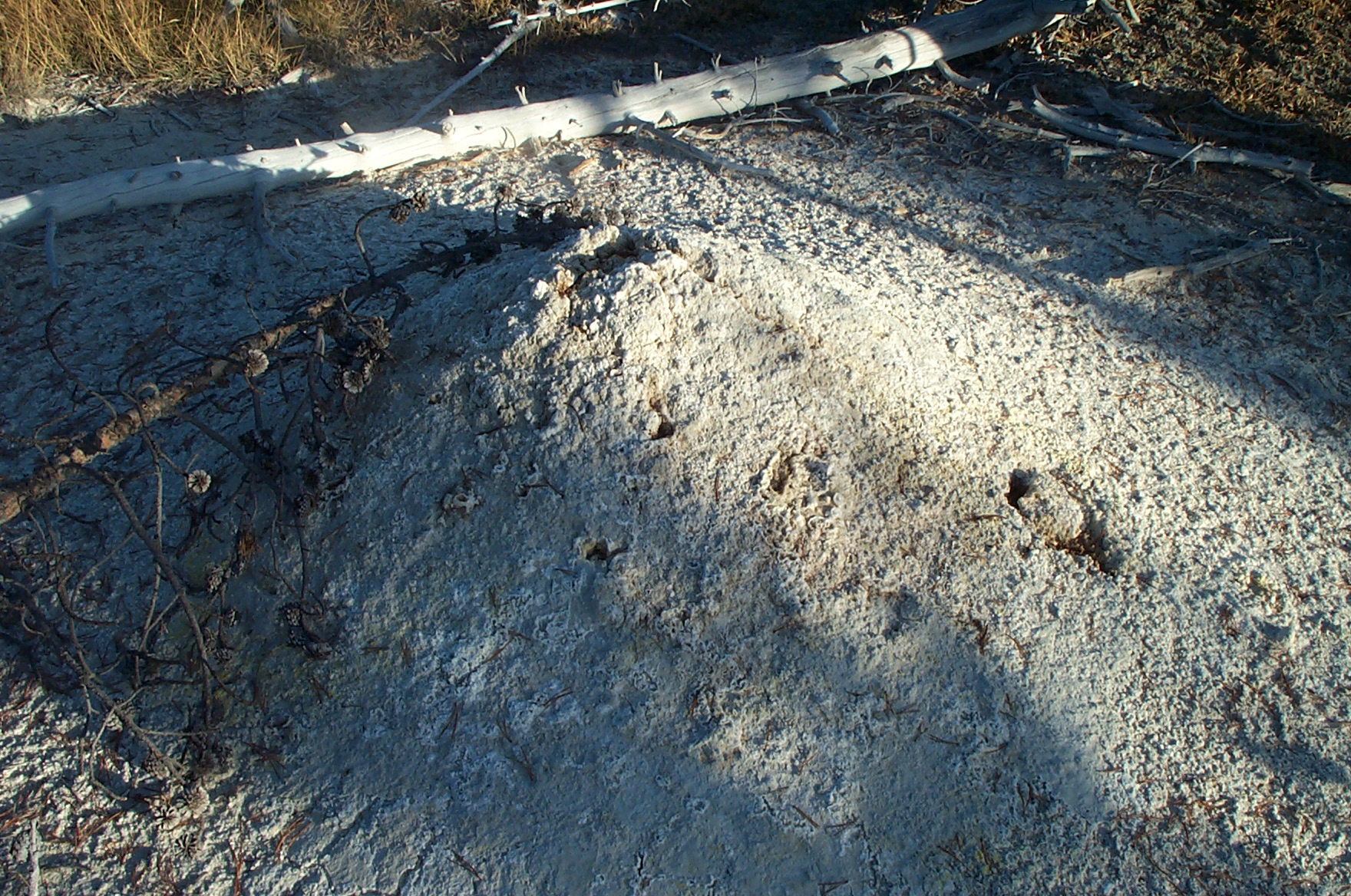 NHSPNN250 Details - Yellowstone Research Coordination Network