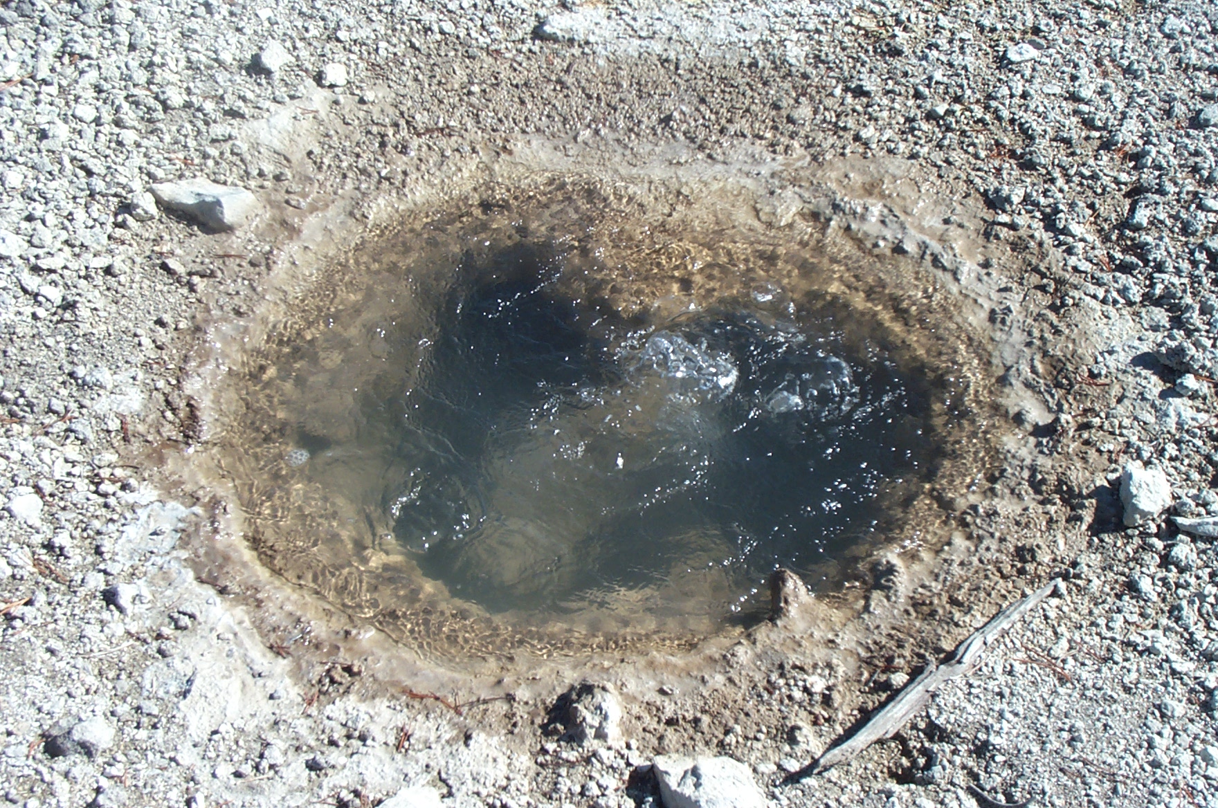 NHSPNN050 Details - Yellowstone Research Coordination Network