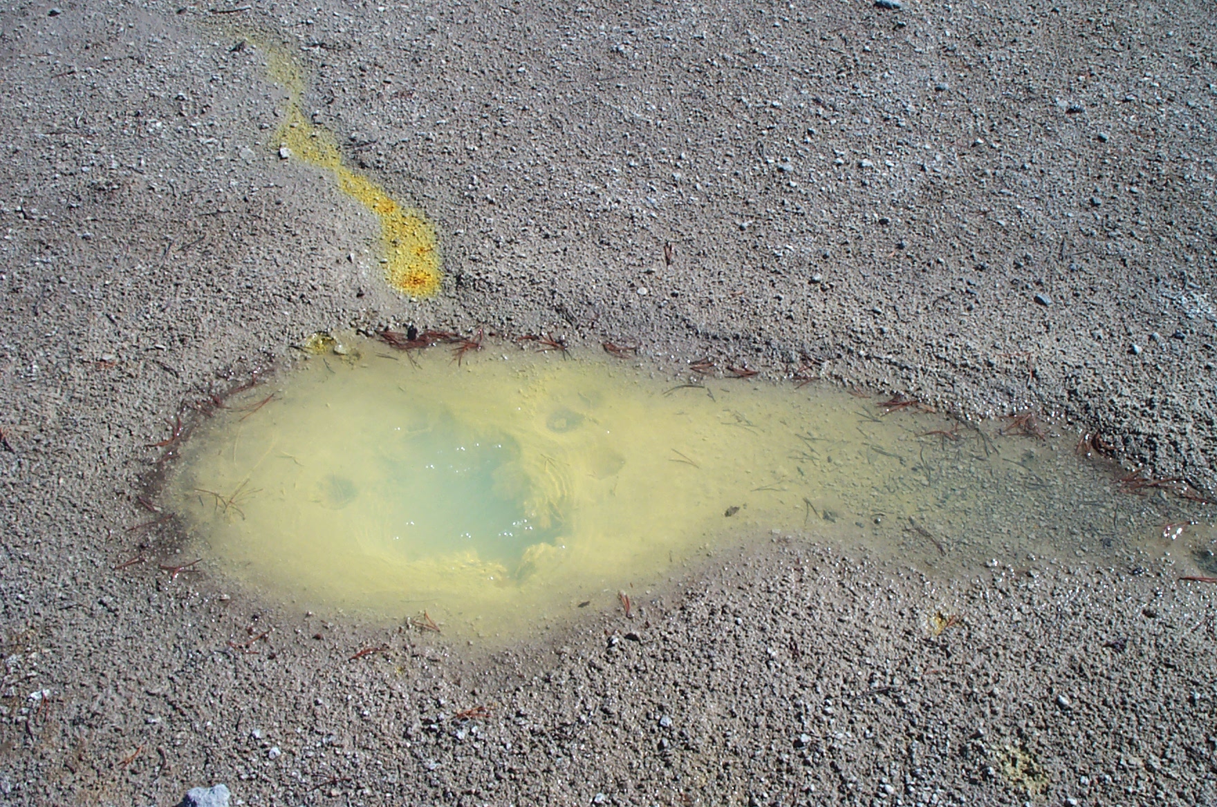 NHSPNN062 Details - Yellowstone Research Coordination Network