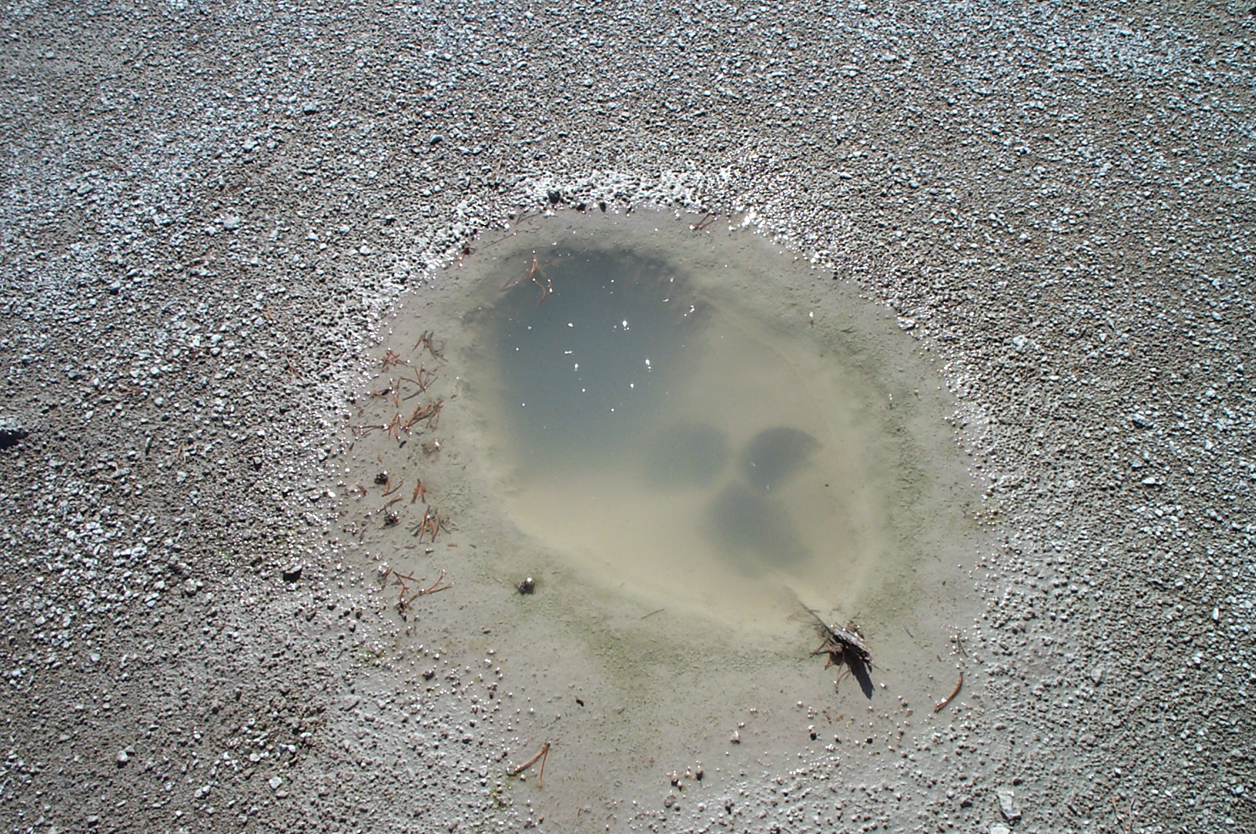 NHSPNN079 Details - Yellowstone Research Coordination Network