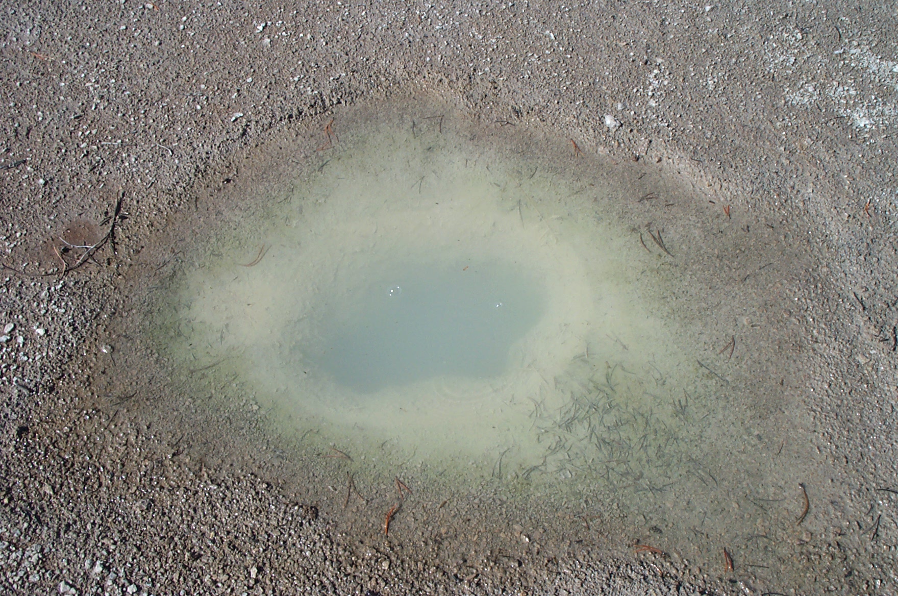 NHSPNN080 Details - Yellowstone Research Coordination Network