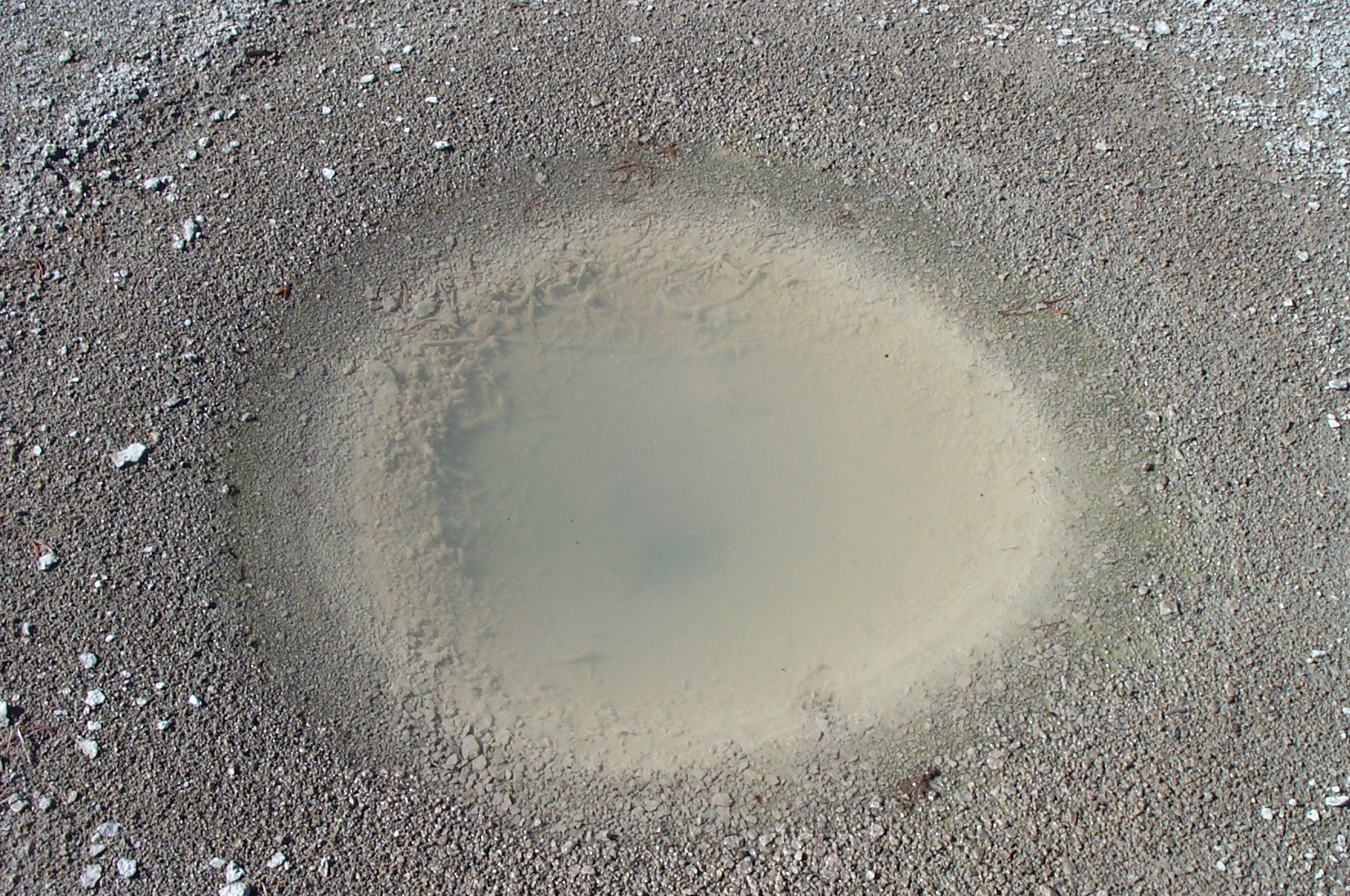 NHSPNN081 Details - Yellowstone Research Coordination Network