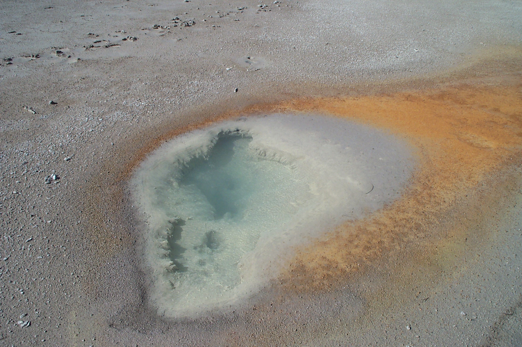 NHSPNN083 Details - Yellowstone Research Coordination Network