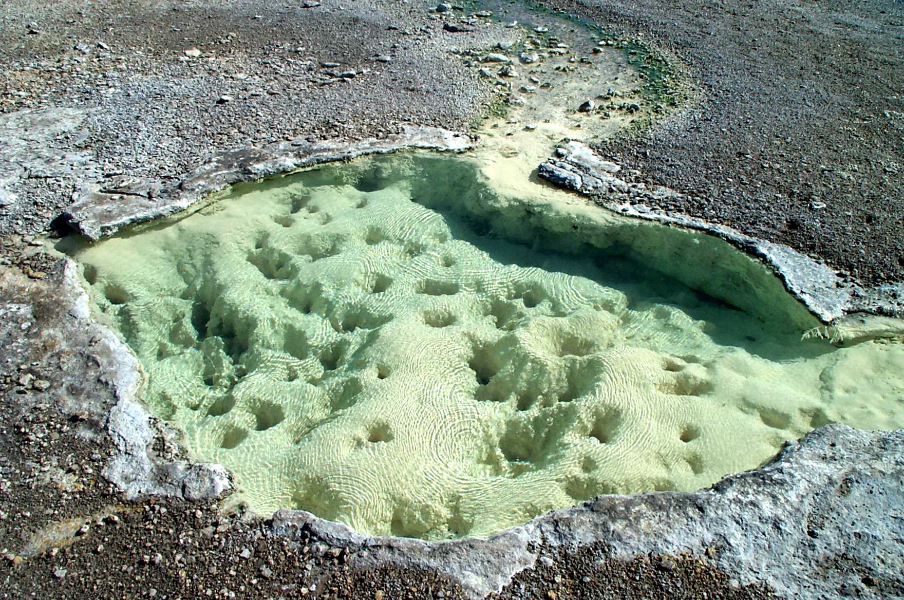 Sulphur Dust Spring Details - Yellowstone Research Coordination Network