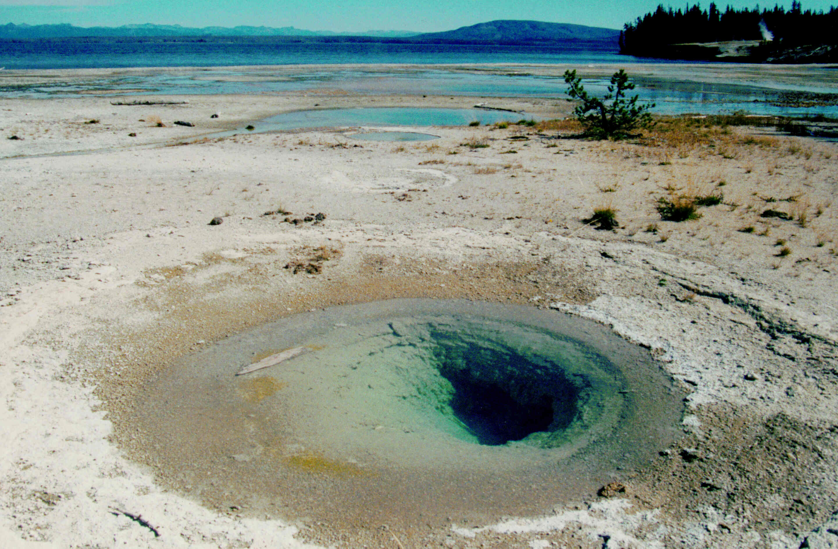 Yellowstone Image View - Yellowstone Research Coordination Network
